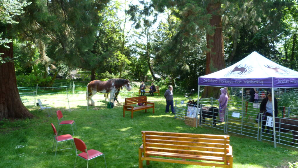 Minidonks Pop-Up Farm | May 2024 - Red Gables